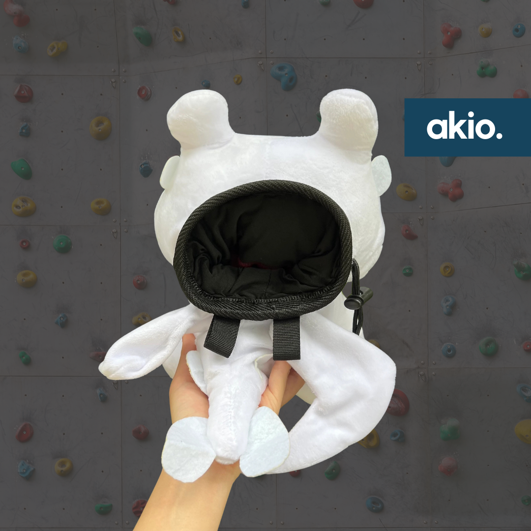 How To Train Your Dragon (HTTYD) Light Fury Chalk Bag – akiomakes
